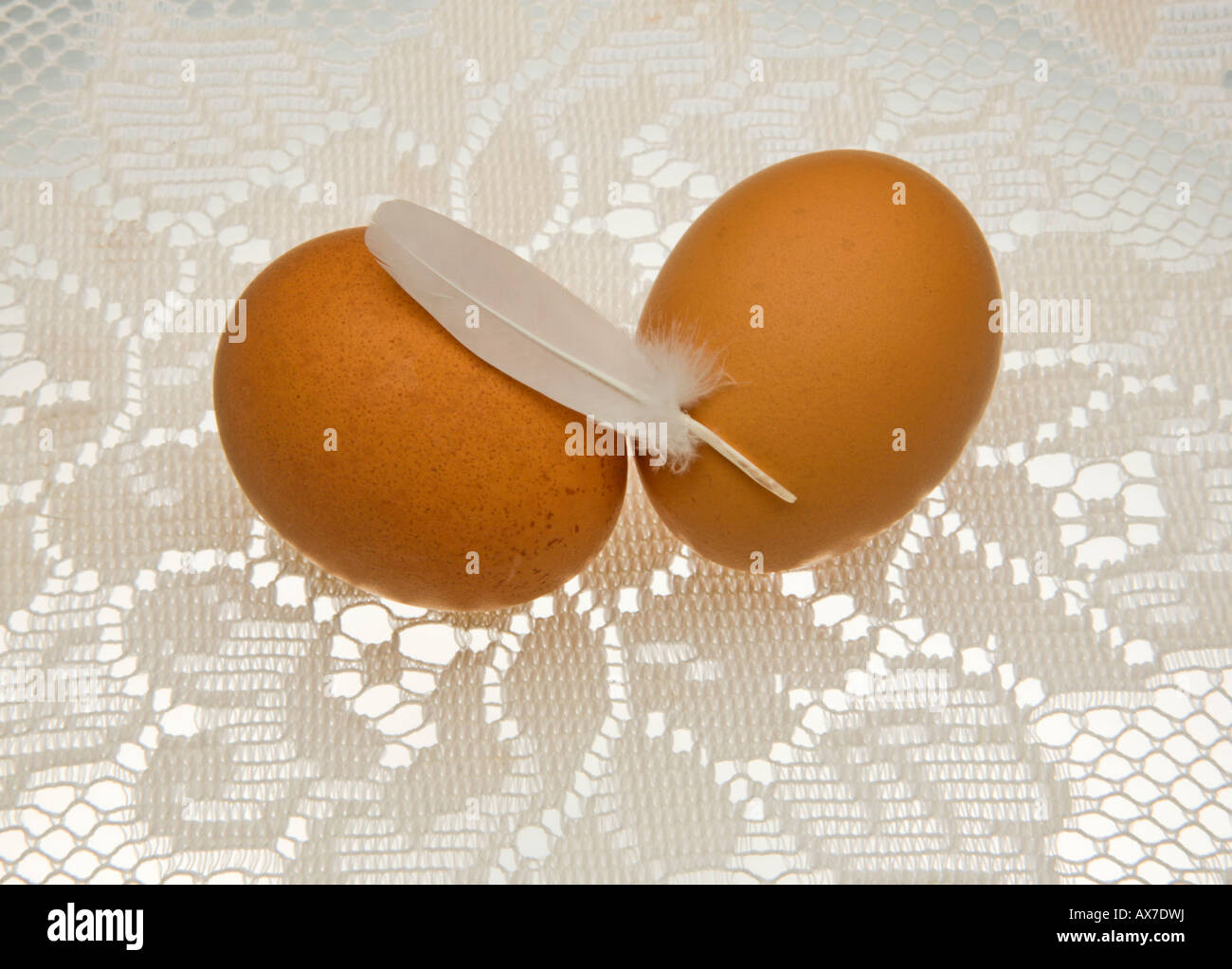 Feather and eggs hi-res stock photography and images - Alamy