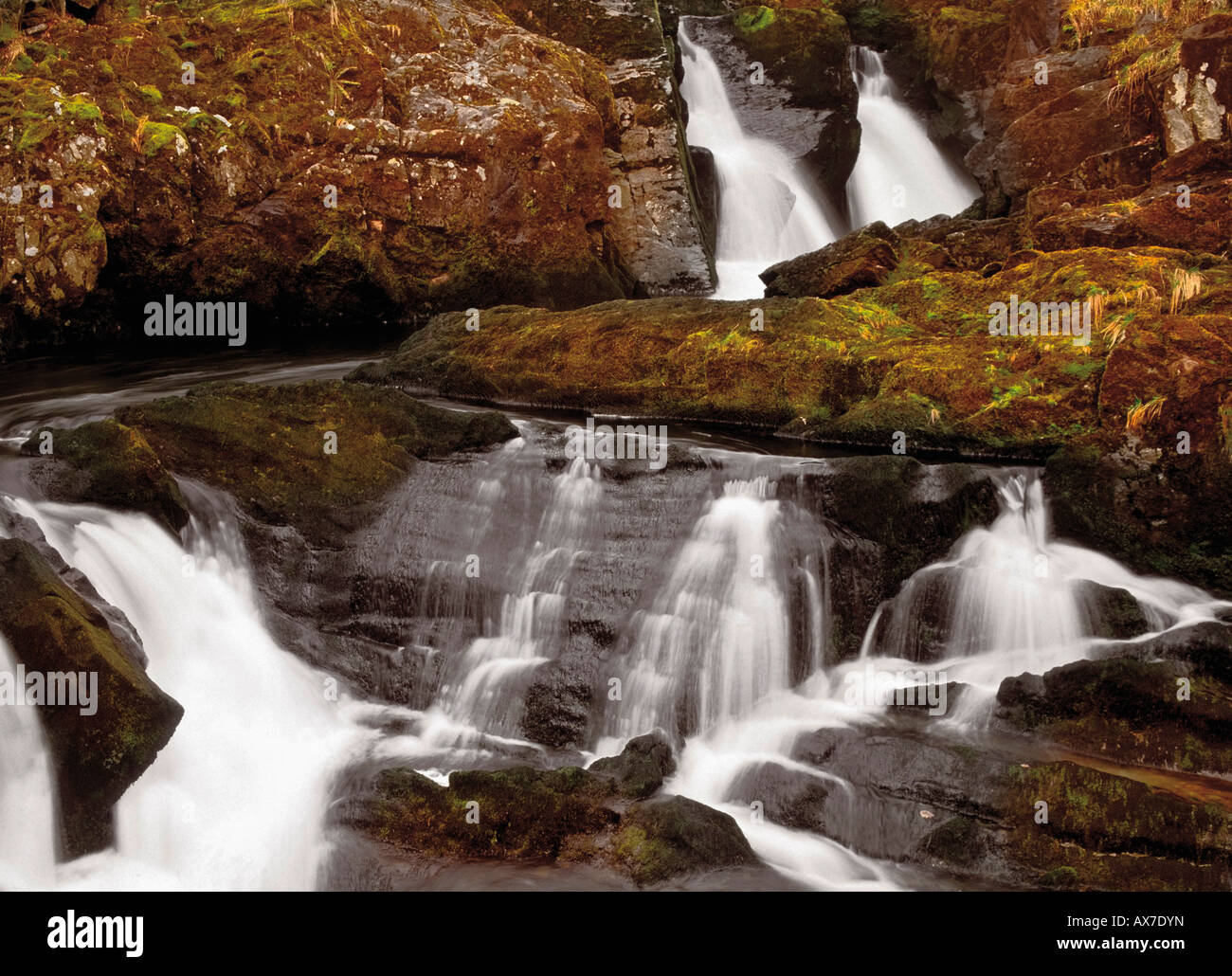 The Ingleton glens the yorkshire dales national park england uk Stock ...