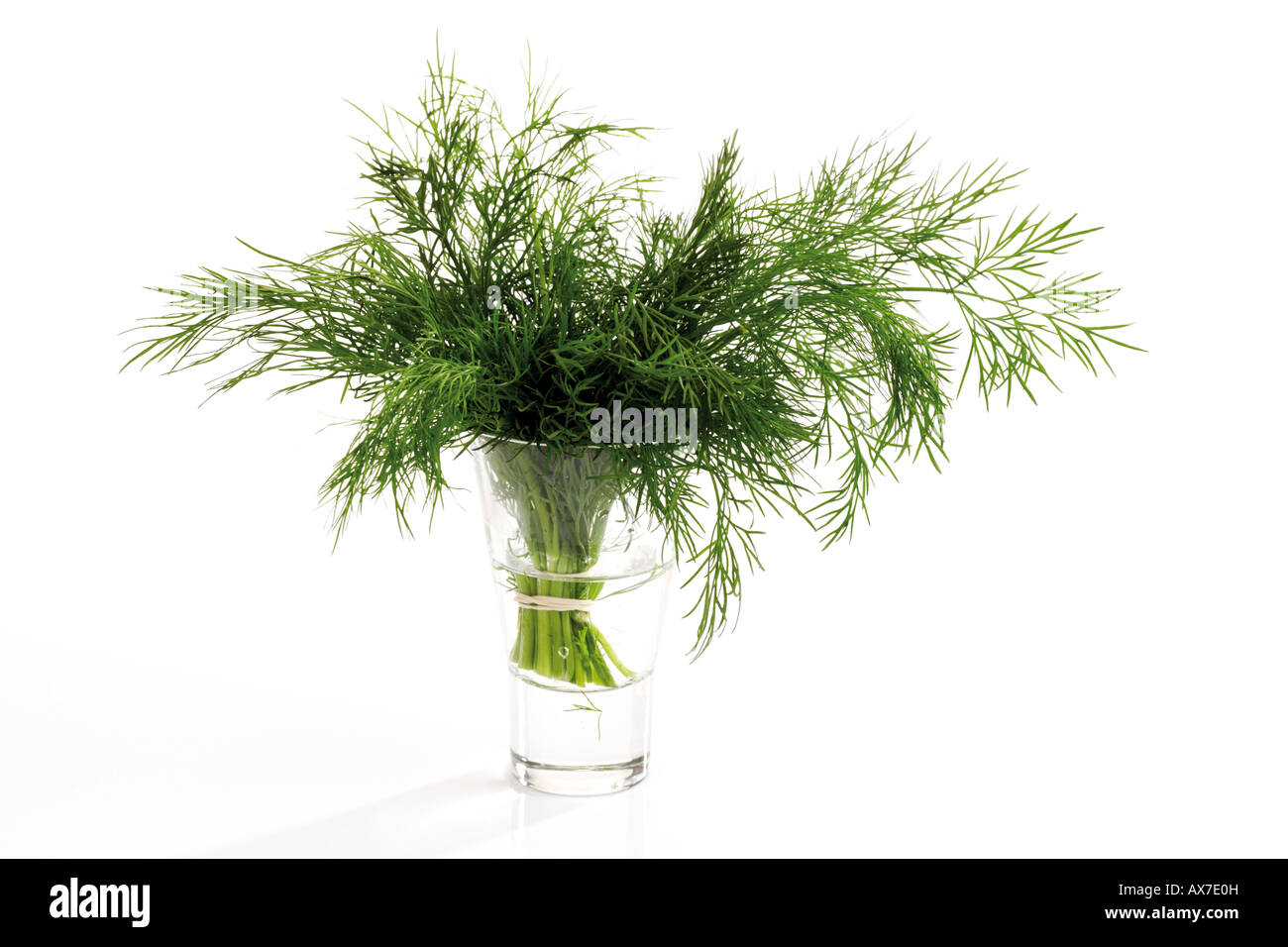 Simple dill hi-res stock photography and images - Alamy