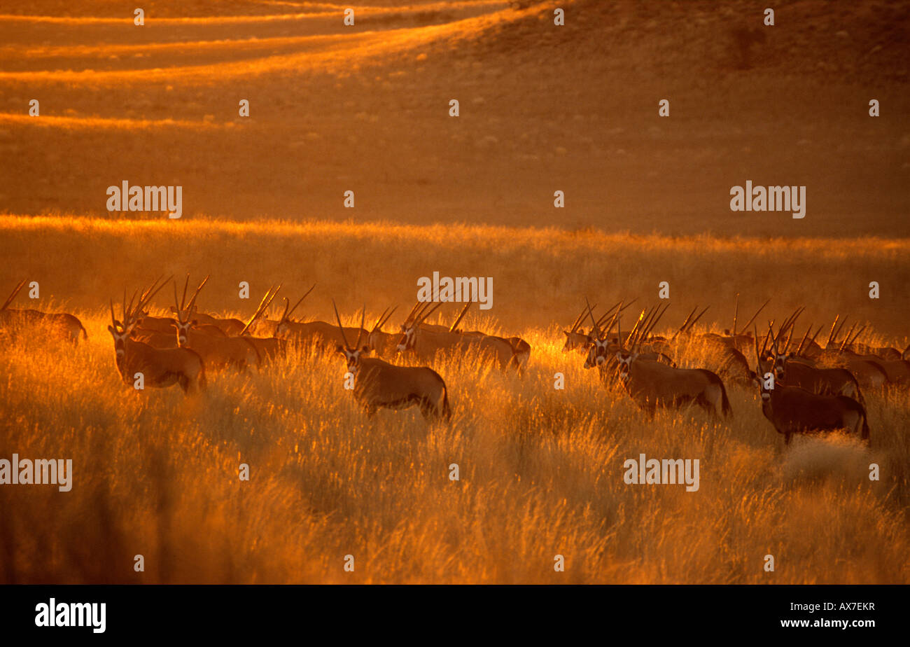 Aroab district hi-res stock photography and images - Alamy