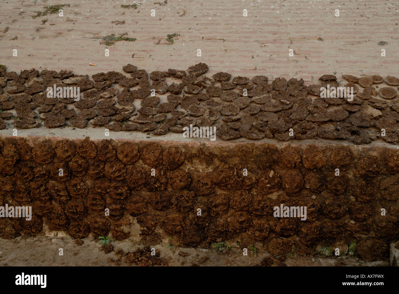 Dried dung fuel india hi-res stock photography and images - Alamy