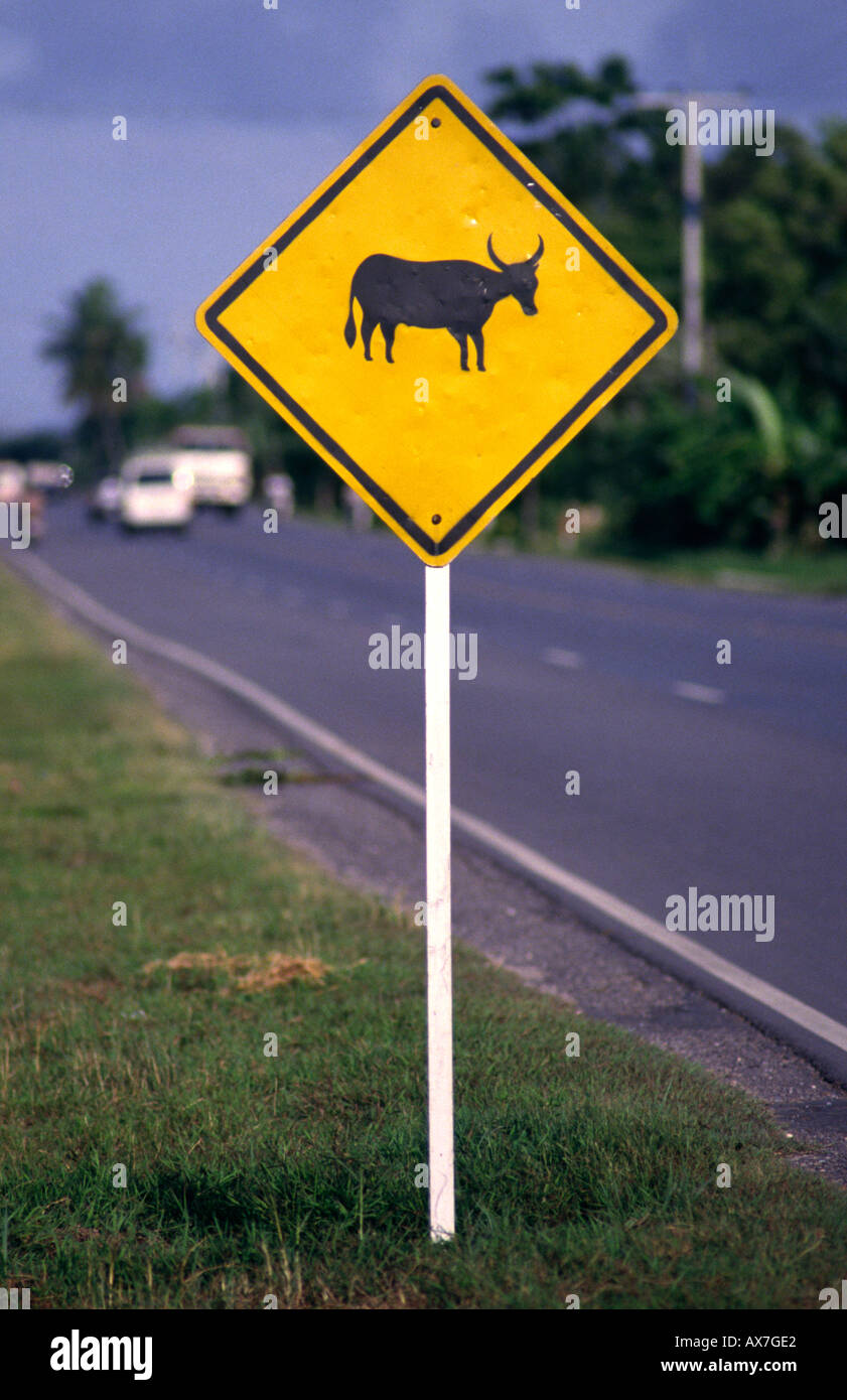 Water buffalo crossing sign. Thailand Stock Photo - Alamy