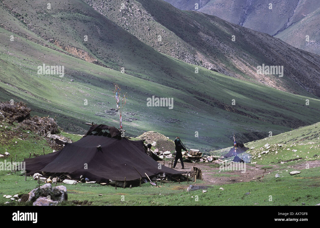 Yak wool tent hi-res stock photography and images - Alamy