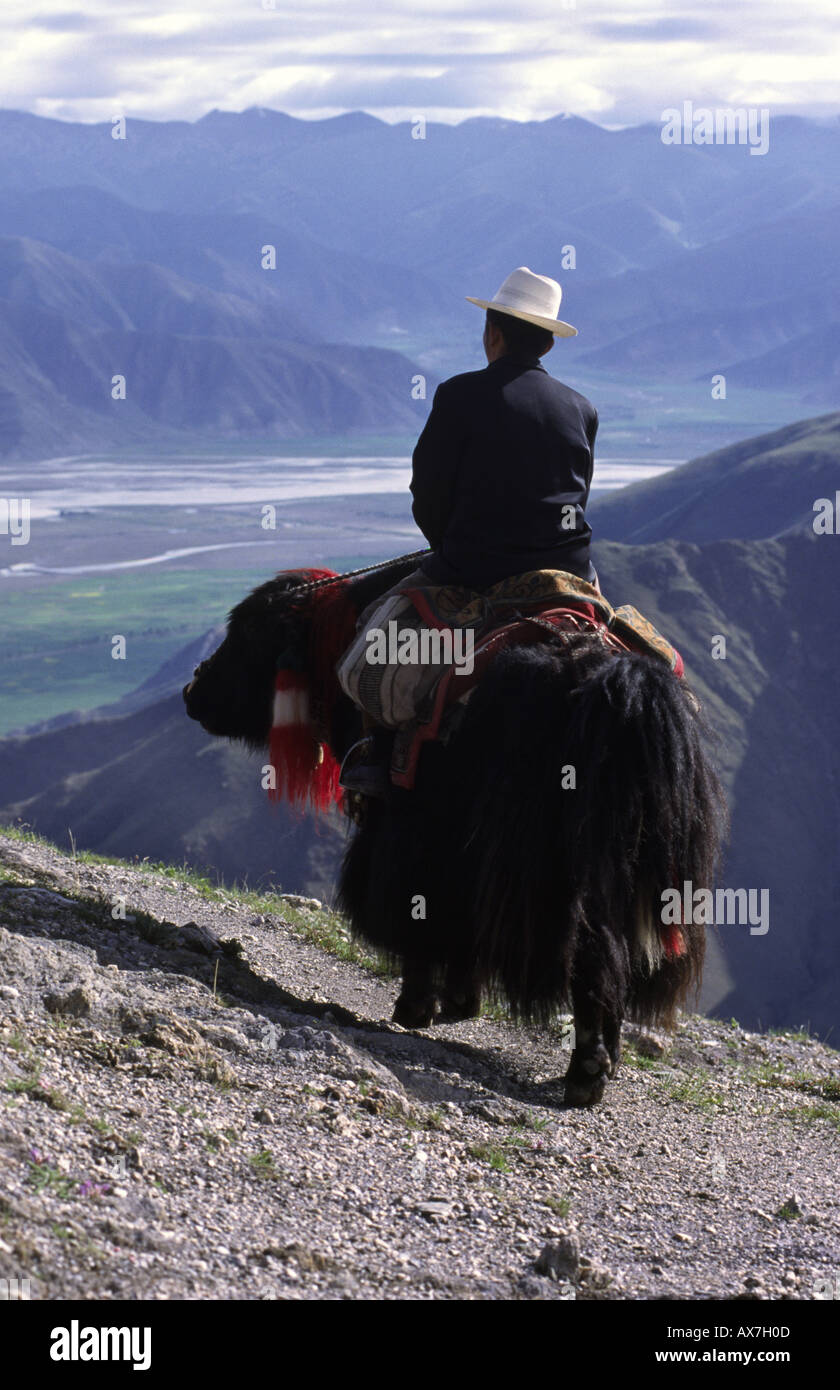 Tibetan man riding a Yak. Near Ganden, Tibet Stock Photo - Alamy