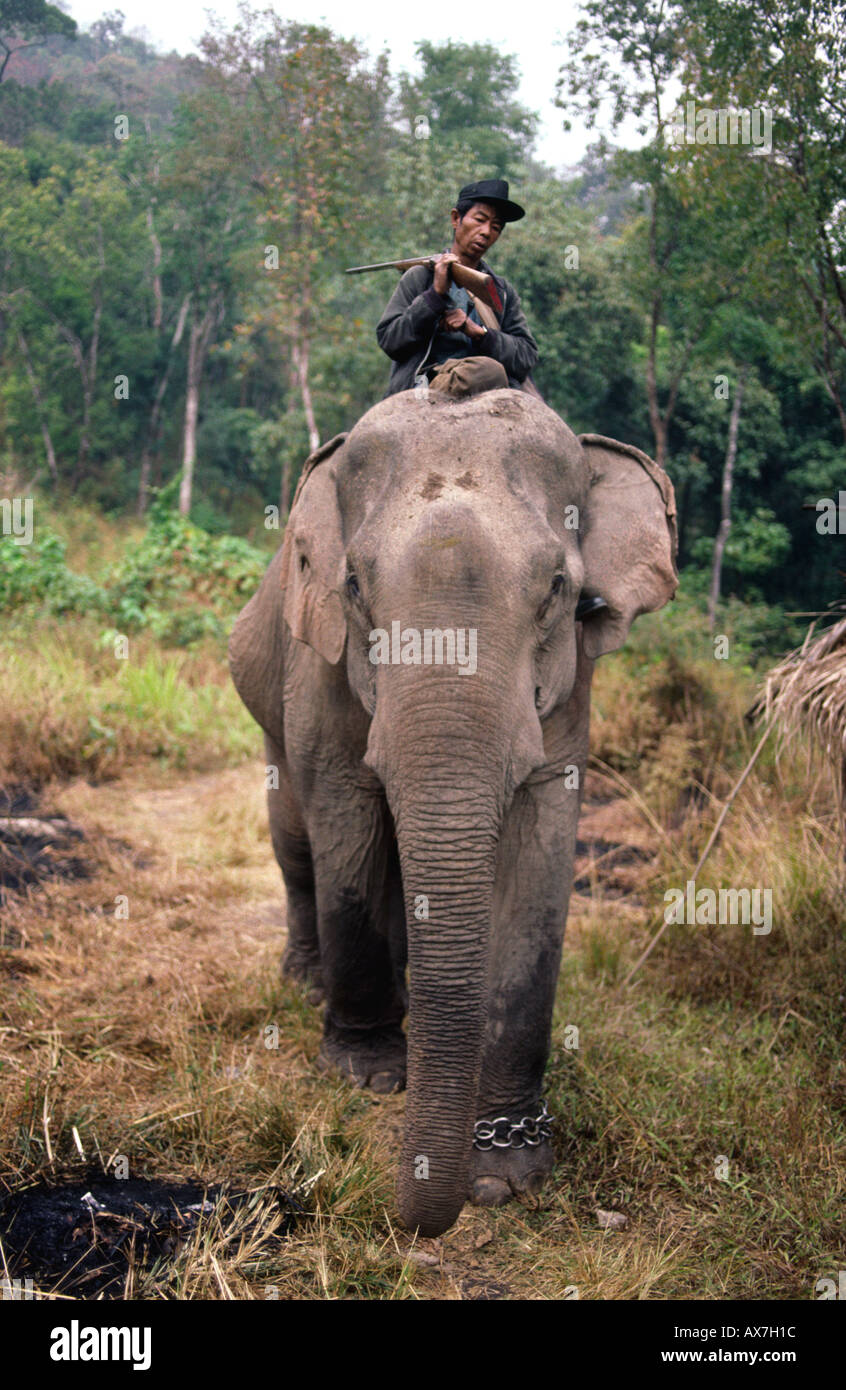 Hunter is riding on elephant hi-res stock photography and images - Alamy