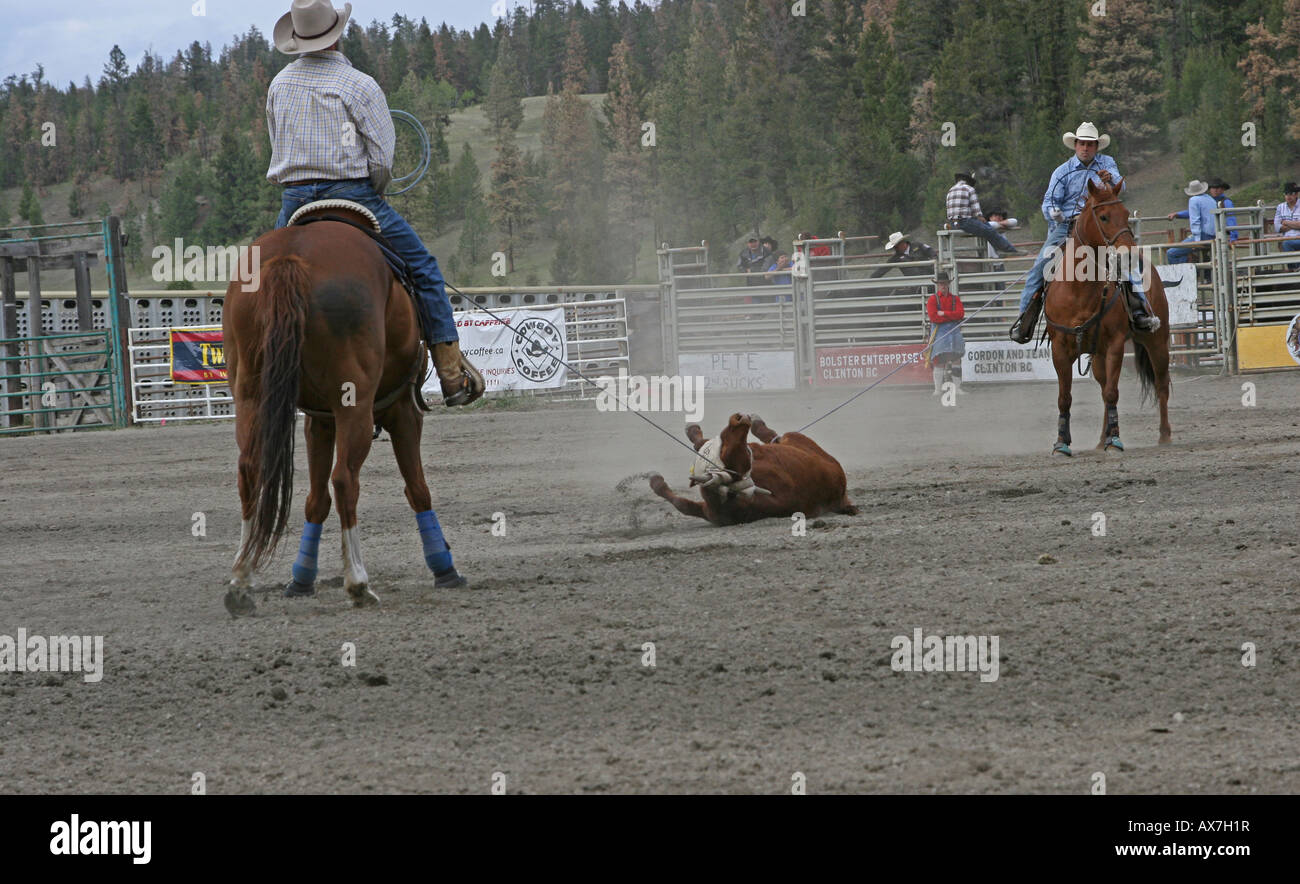 Cowboy roping wild horse hi-res stock photography and images - Alamy