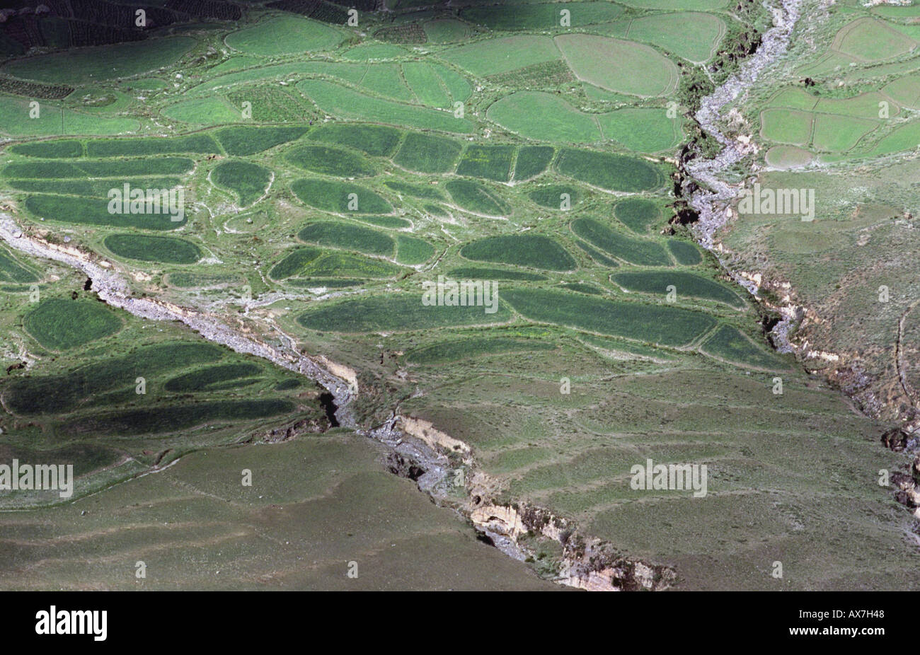 Tibet farming hi-res stock photography and images - Alamy