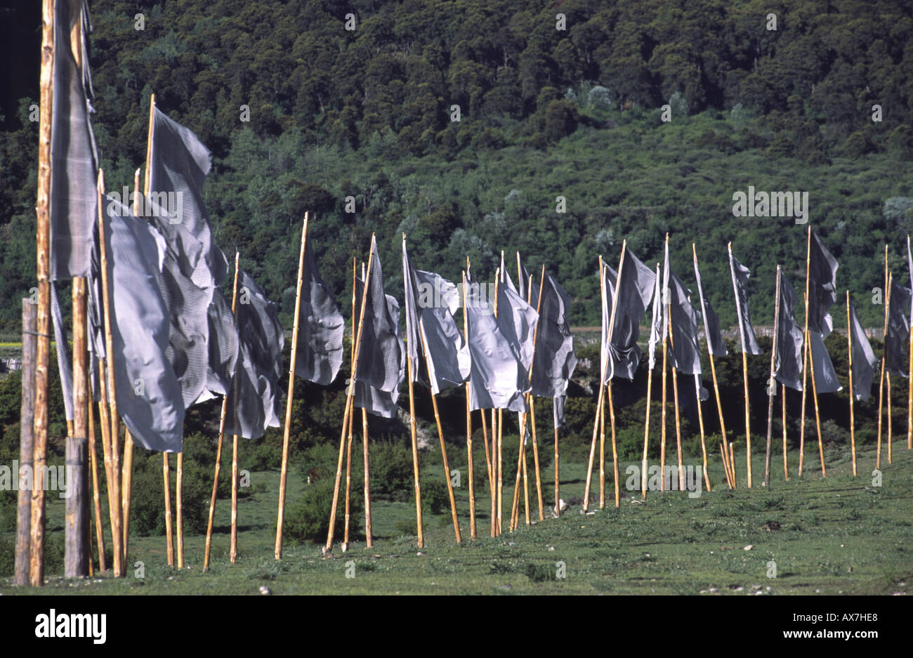 Prayer flags around Holy Mountain. Kham, Eastern Tibet Stock Photo - Alamy
