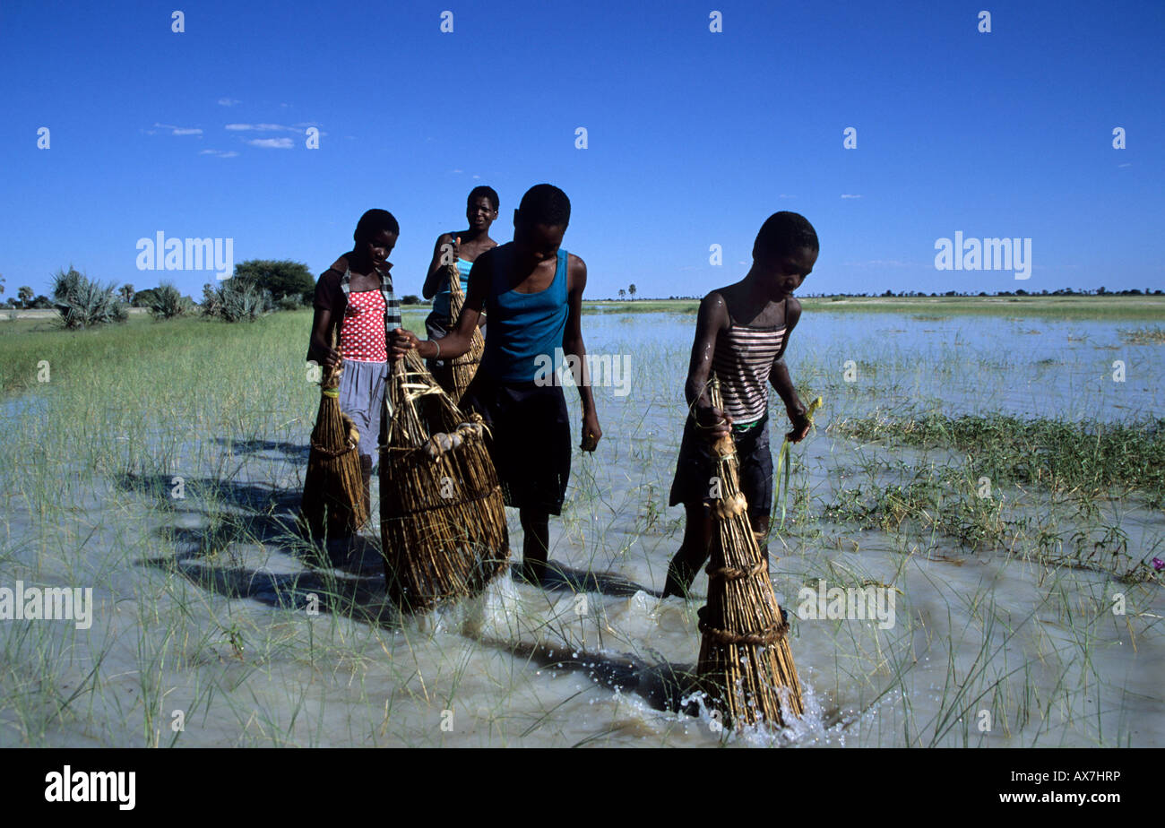 Owambo girls catching fish in the shallow water of the Oshana river ...
