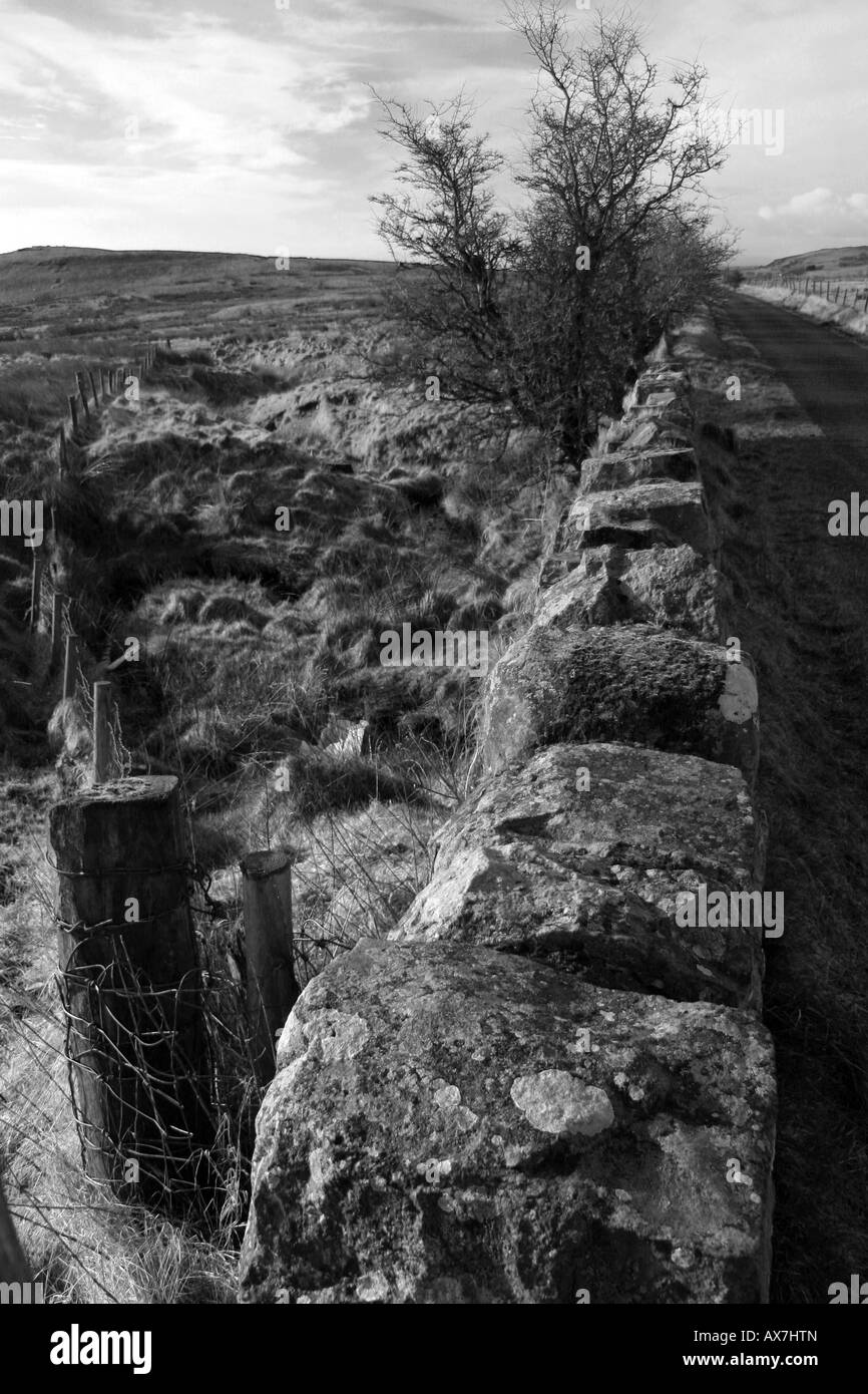 Stone wall in path Black and White Stock Photos & Images - Alamy