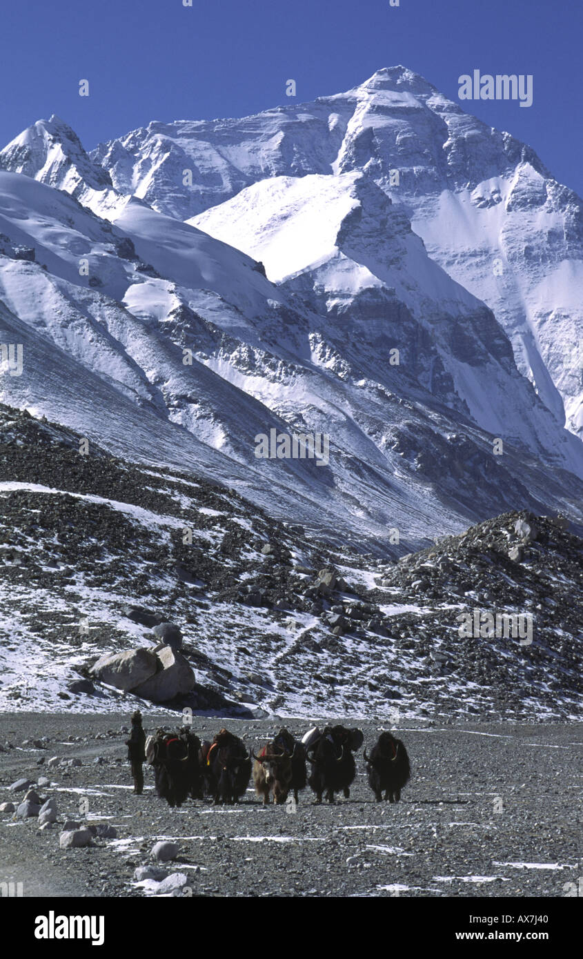 Mt Everest seen from the Tibetan side. Chomologma National Park, Tibet ...