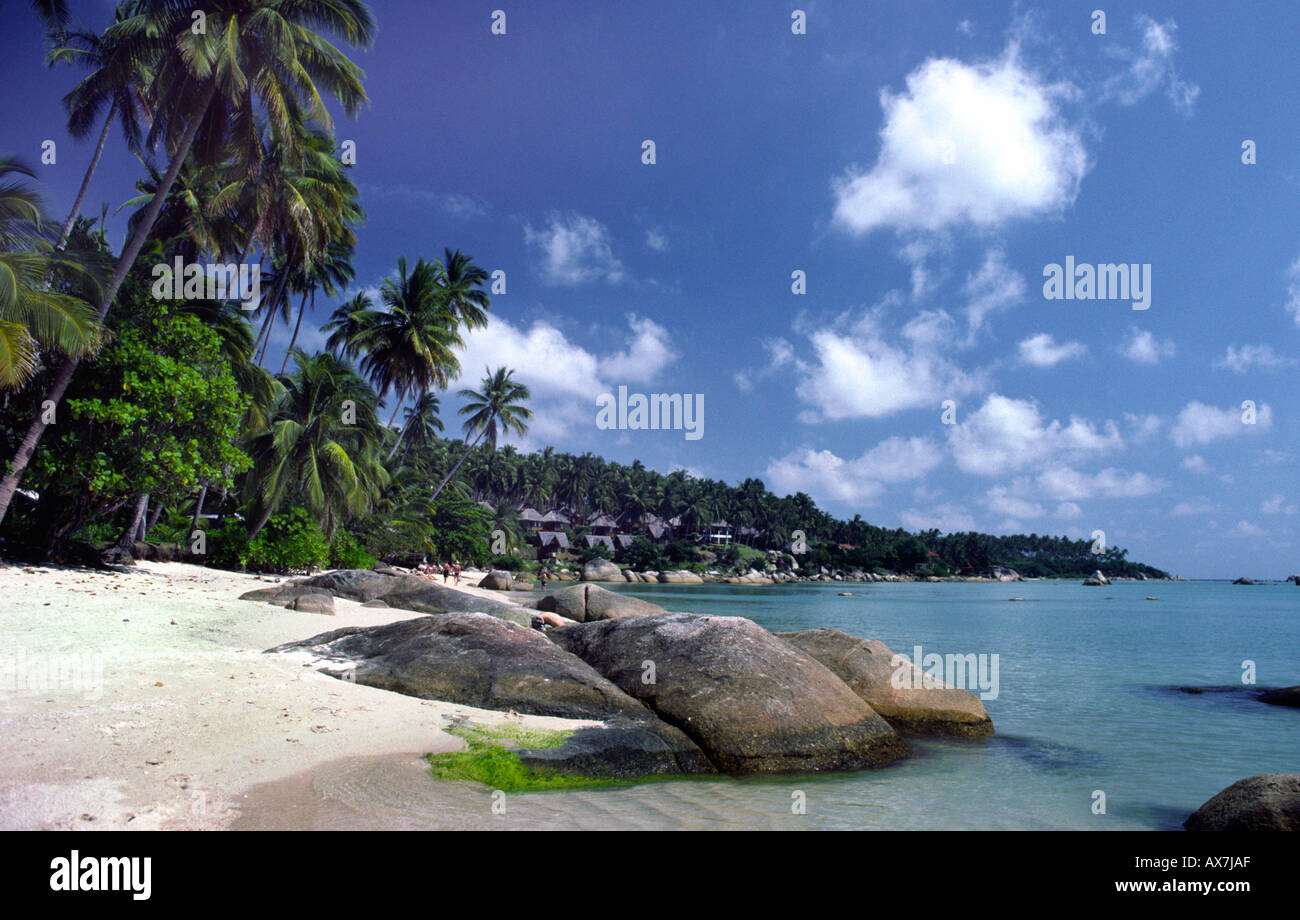 Coconut trees lamai beach koh hi-res stock photography and images - Alamy