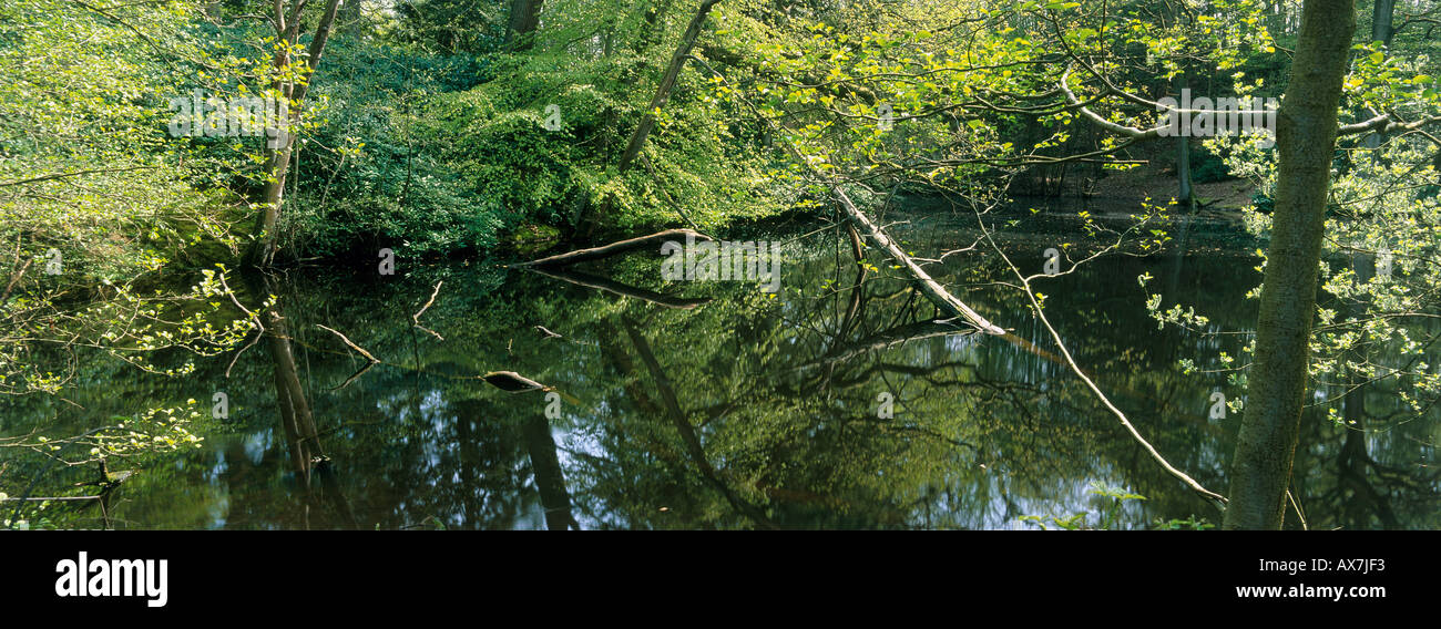 wild pond in kent with surrounding trees Stock Photo - Alamy