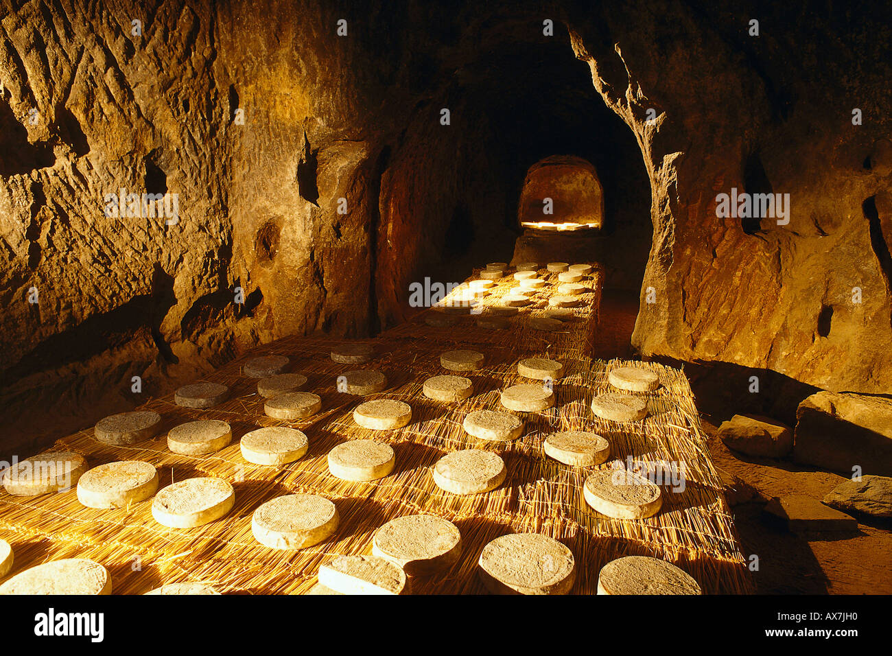 St. Nectaire cheese ripening in a cave, Auvergne, France, Europe Stock ...