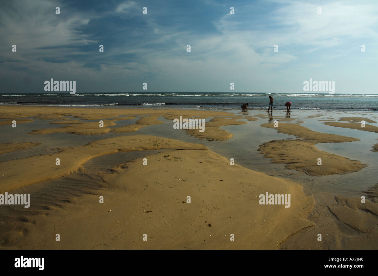 Picking clams hi-res stock photography and images - Alamy