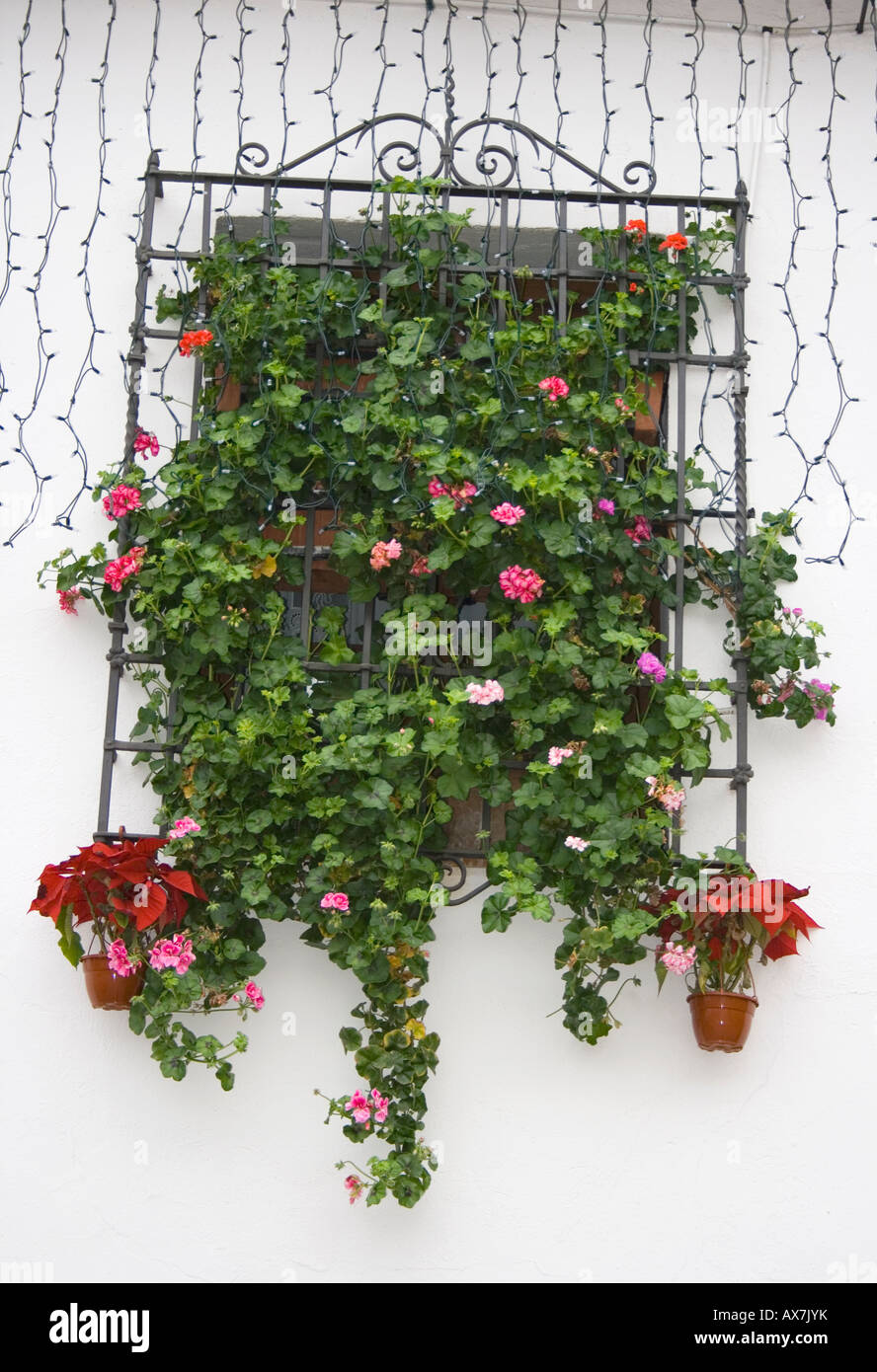Cordoba Spain Typical Spanish windows and flowers Stock Photo - Alamy