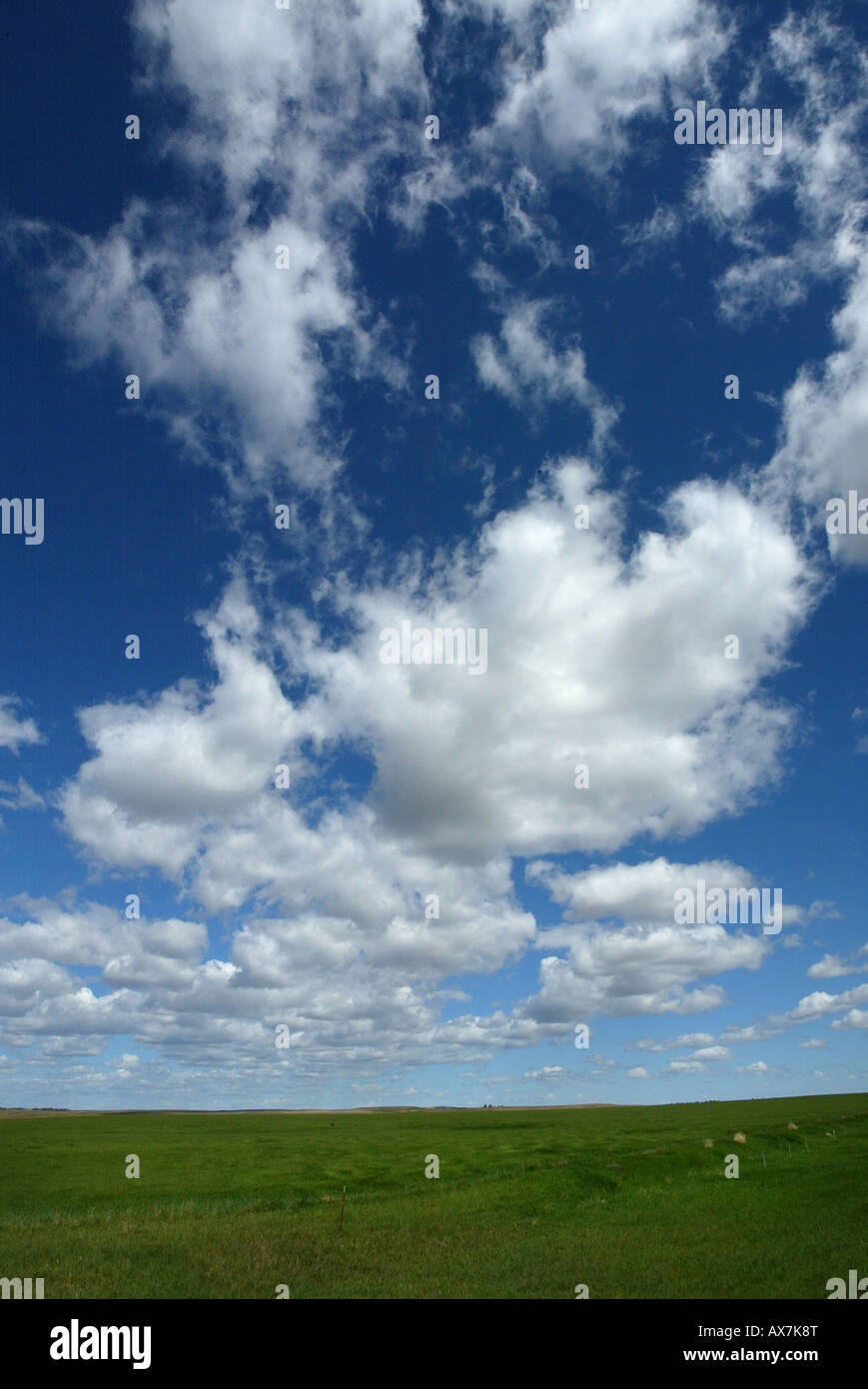 Wheat fields nebraska hi-res stock photography and images - Alamy