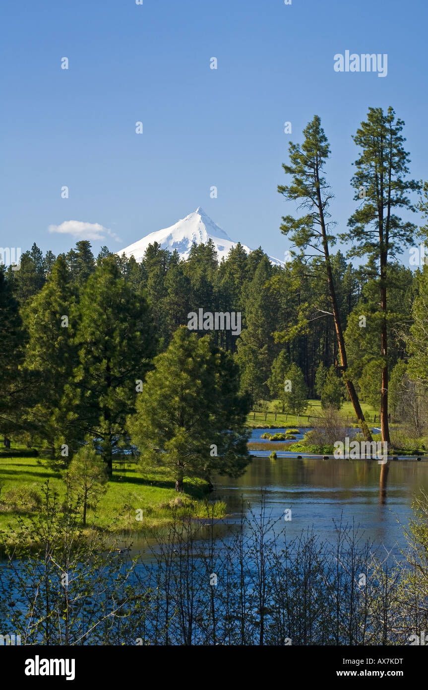 Mount jefferson headwaters metolius river hi-res stock photography and ...