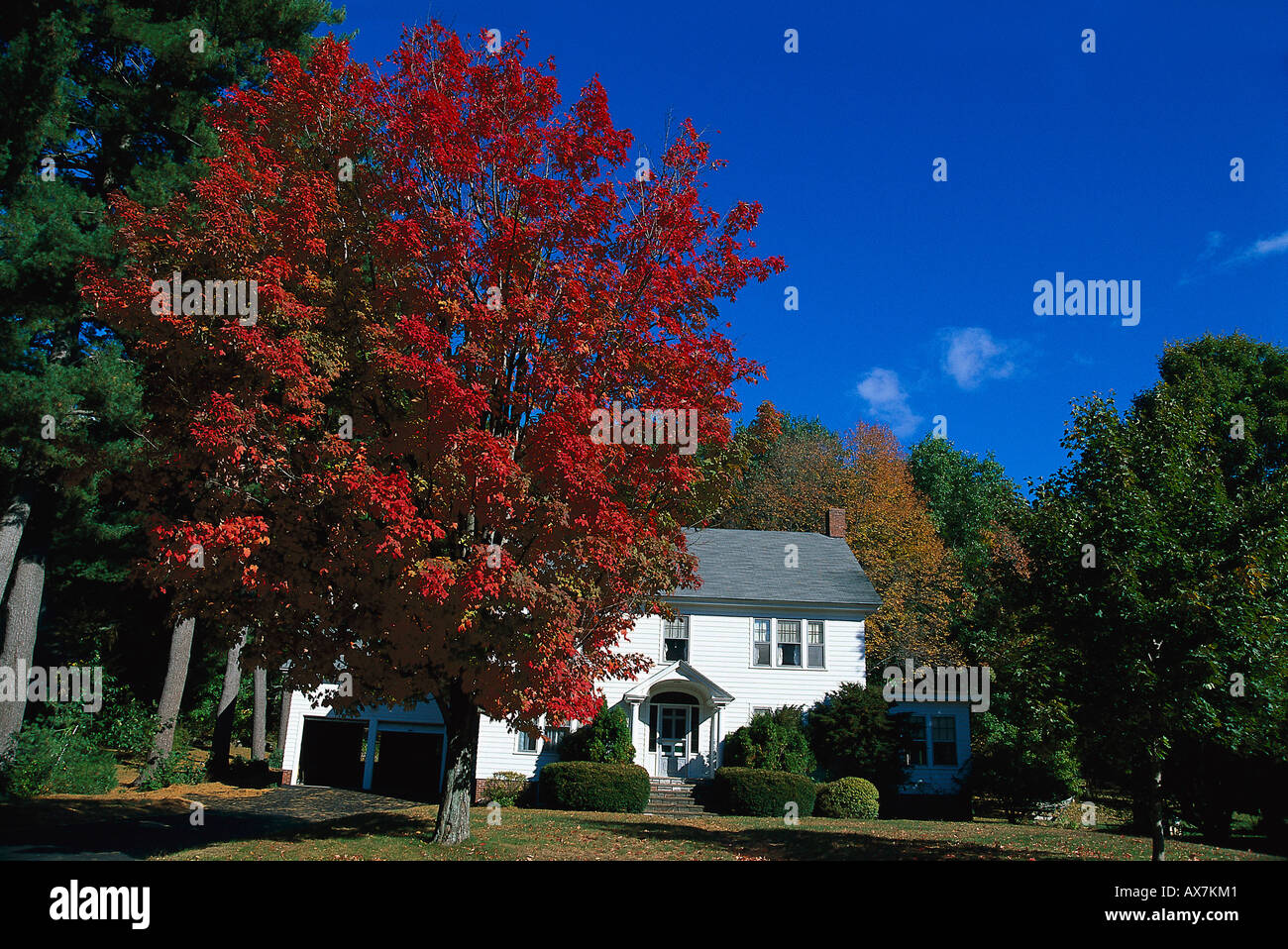 Standish house hi-res stock photography and images - Alamy