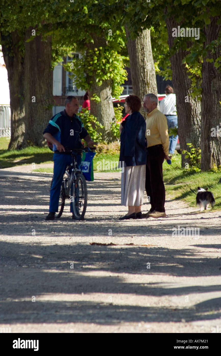 Group of locals taking in dappled shade of tree lined avenue Saint ...
