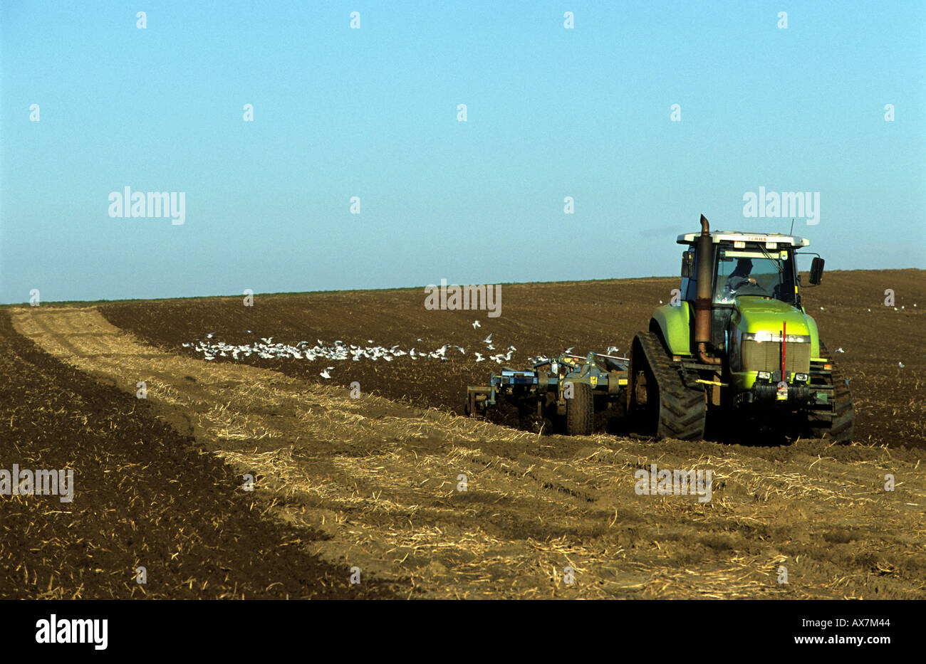 Farm british agriculture harrowing hi-res stock photography and images ...
