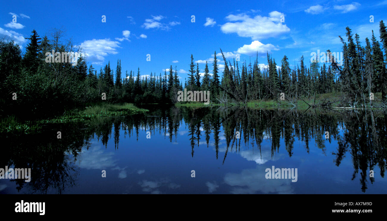 Trees surround wind hi-res stock photography and images - Alamy