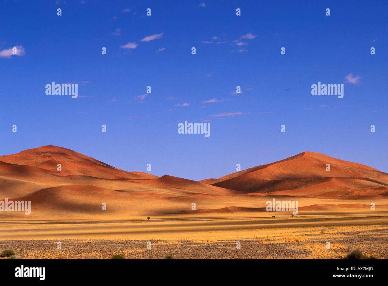 Desert of Namibia, Sossusvlei, Namibia, Africa Stock Photo - Alamy