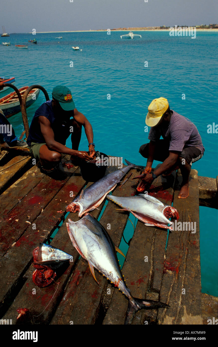 S s cape verde hi-res stock photography and images - Alamy