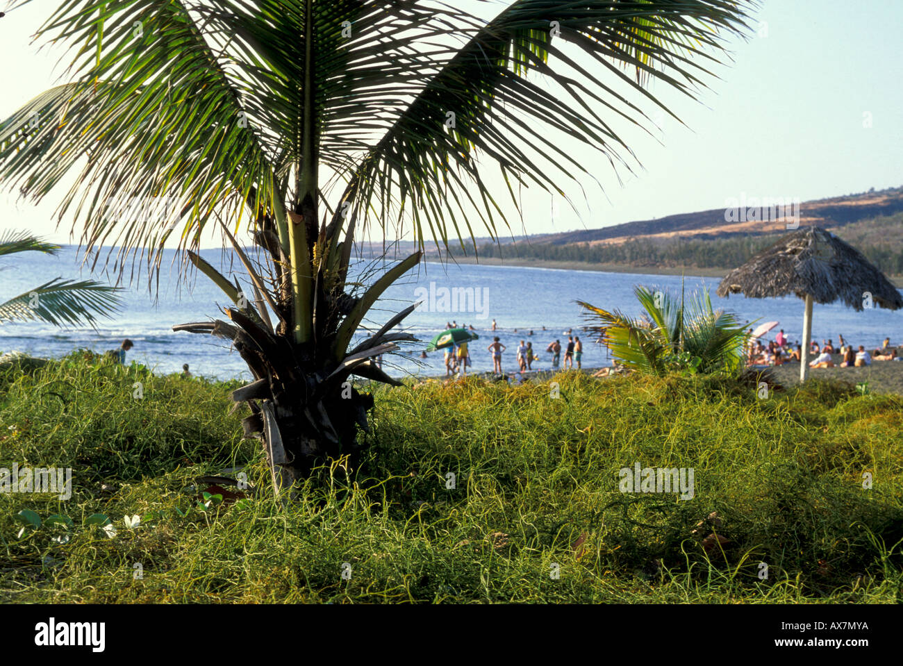 Beach, Ile de la Réunion Stock Photo - Alamy