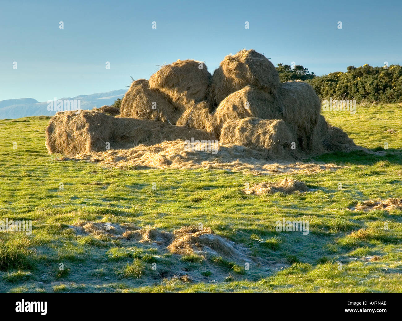 Uk hay bail hi-res stock photography and images - Alamy