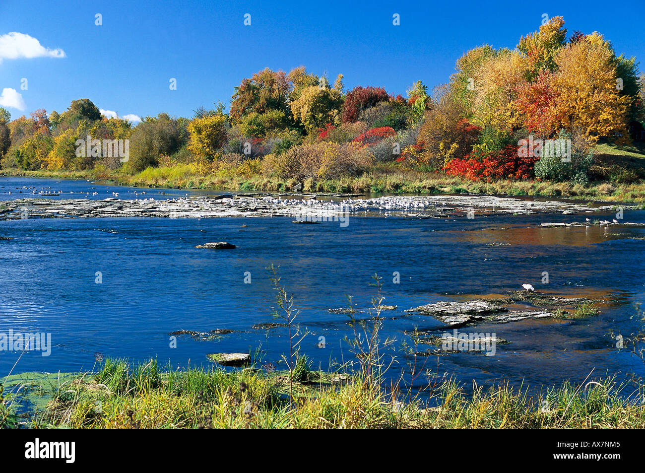 Riverside, P. Quebec Canada Stock Photo - Alamy