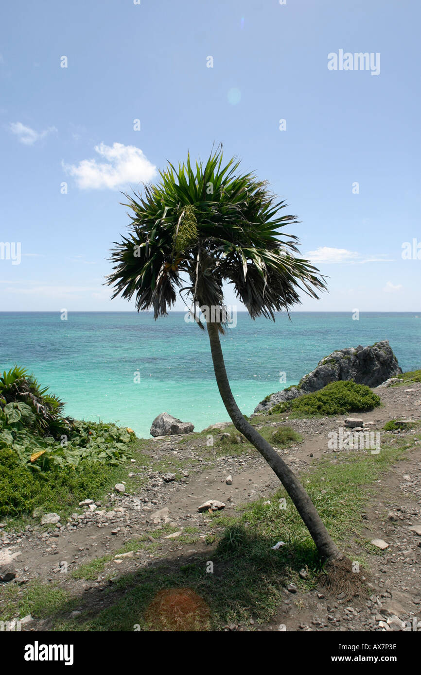 Templo del dios descendente tulum hi-res stock photography and images ...