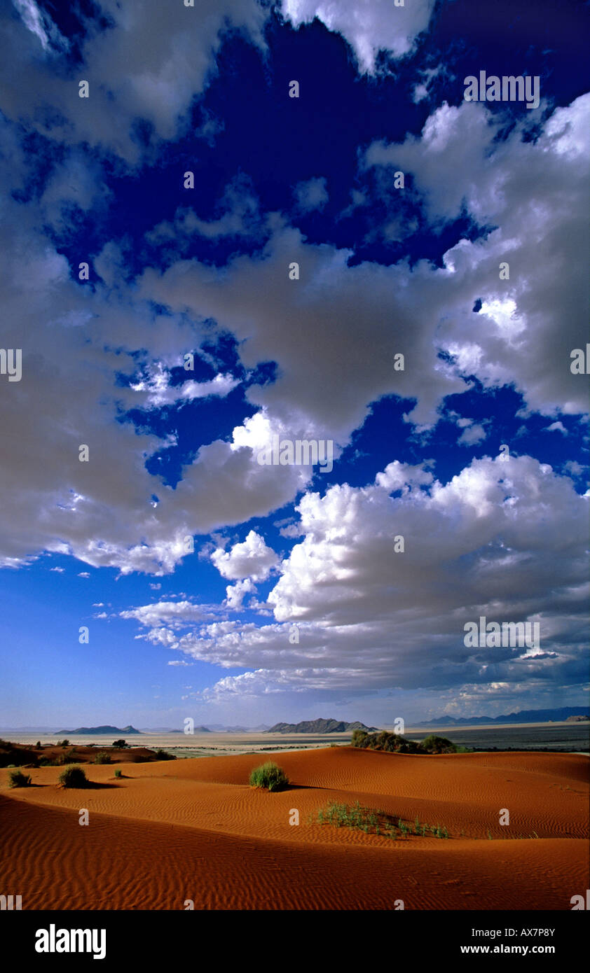Namib desert dune grass rain clouds Dieprivier Namibia Stock Photo - Alamy