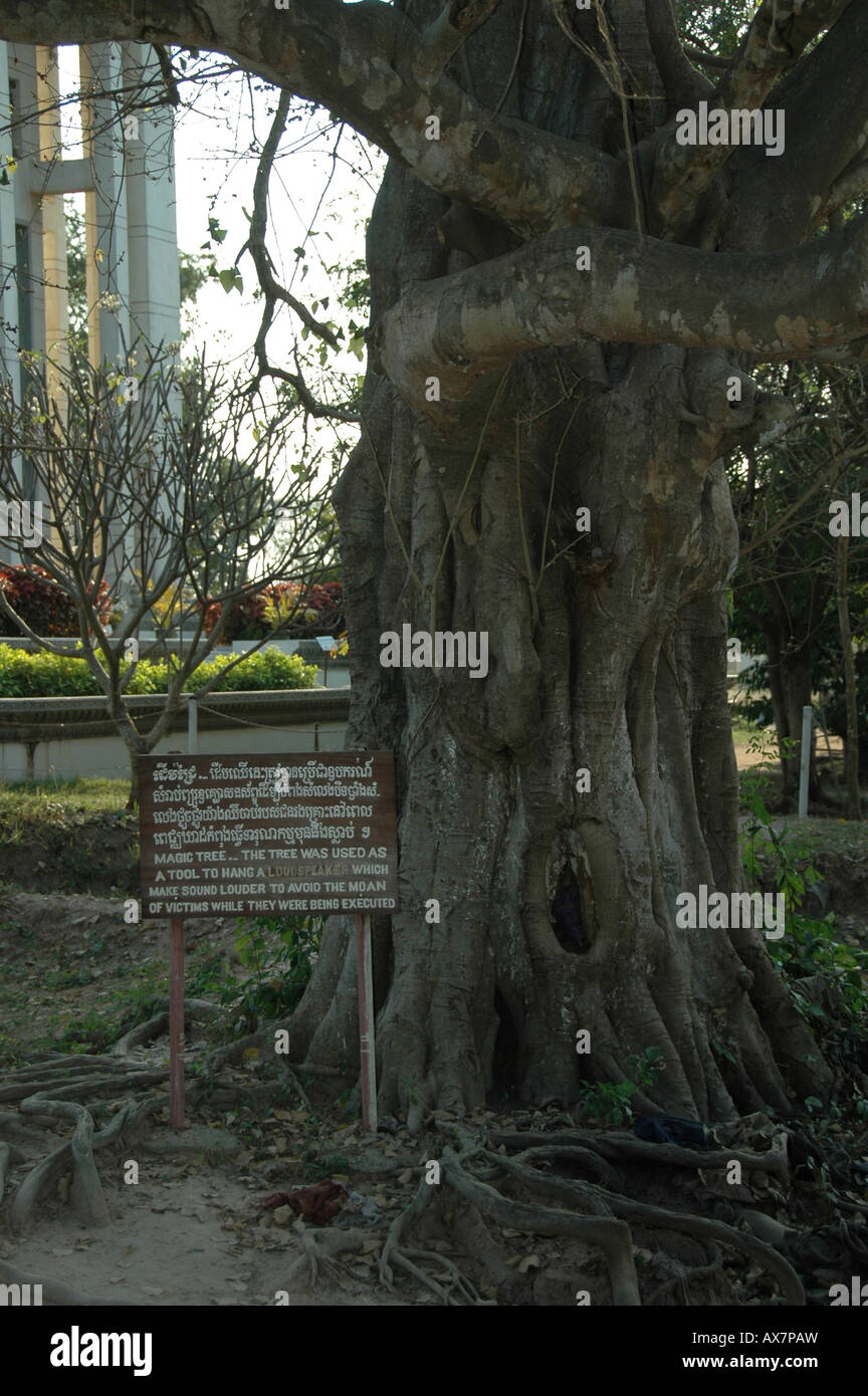 Killing tree cambodia hi-res stock photography and images - Alamy