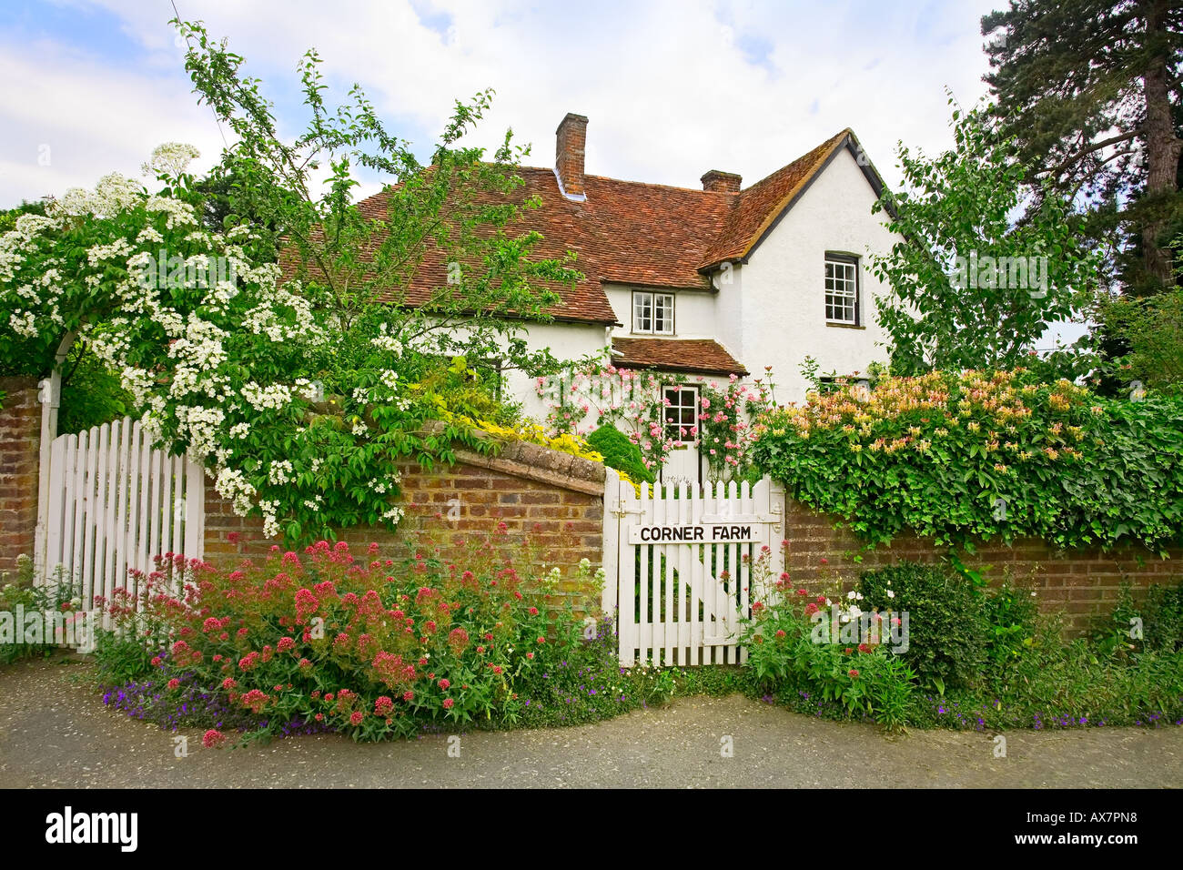 Picturesque rural cottage in summer walled garden with flowers Stock ...