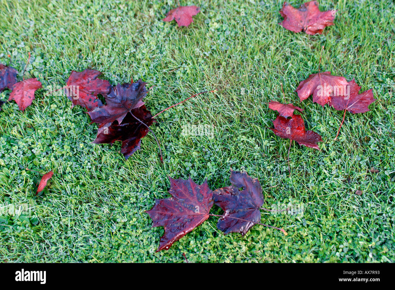 Changing temperatures hi-res stock photography and images - Alamy