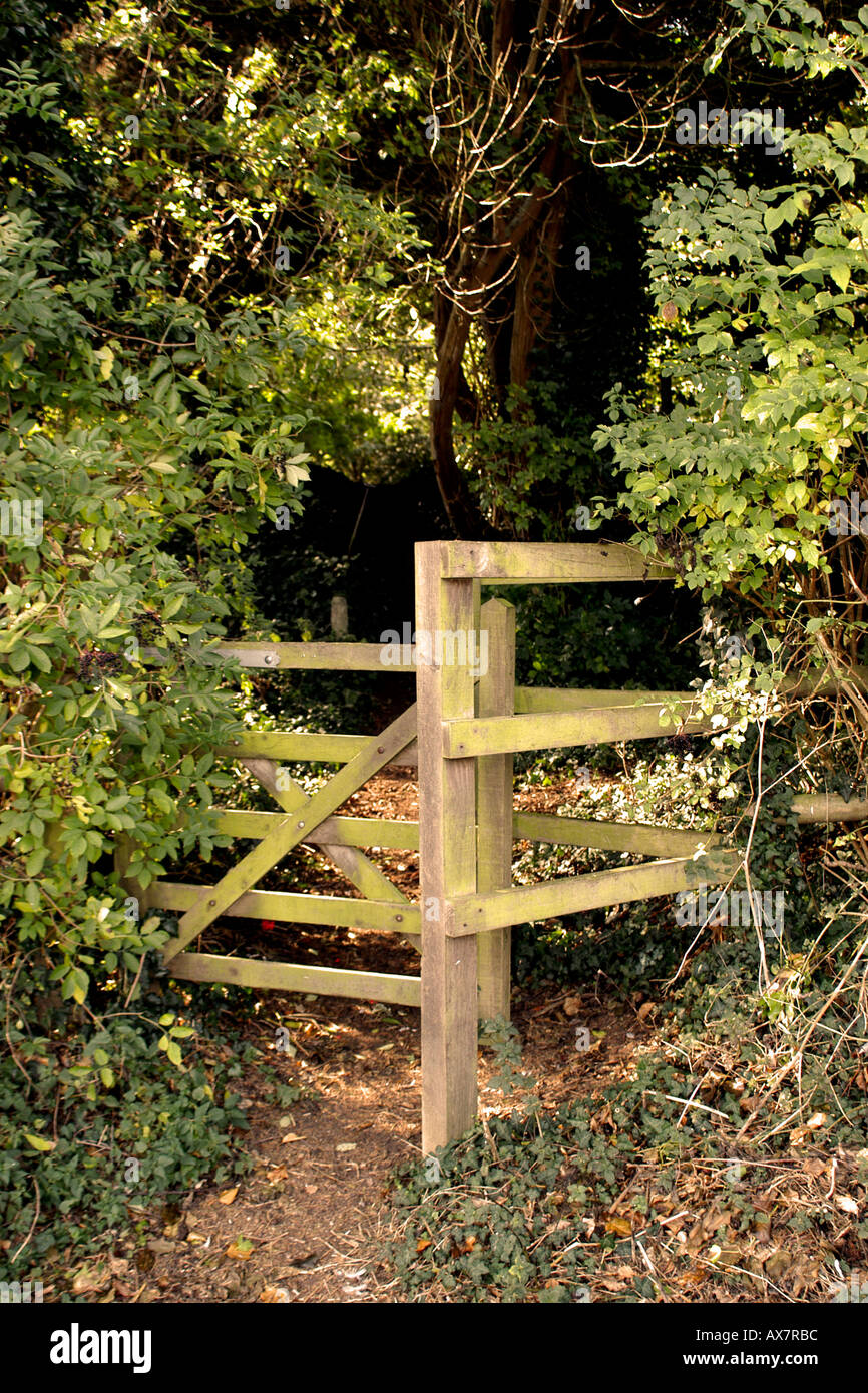 Fencing and a woodland gateway Stock Photo - Alamy