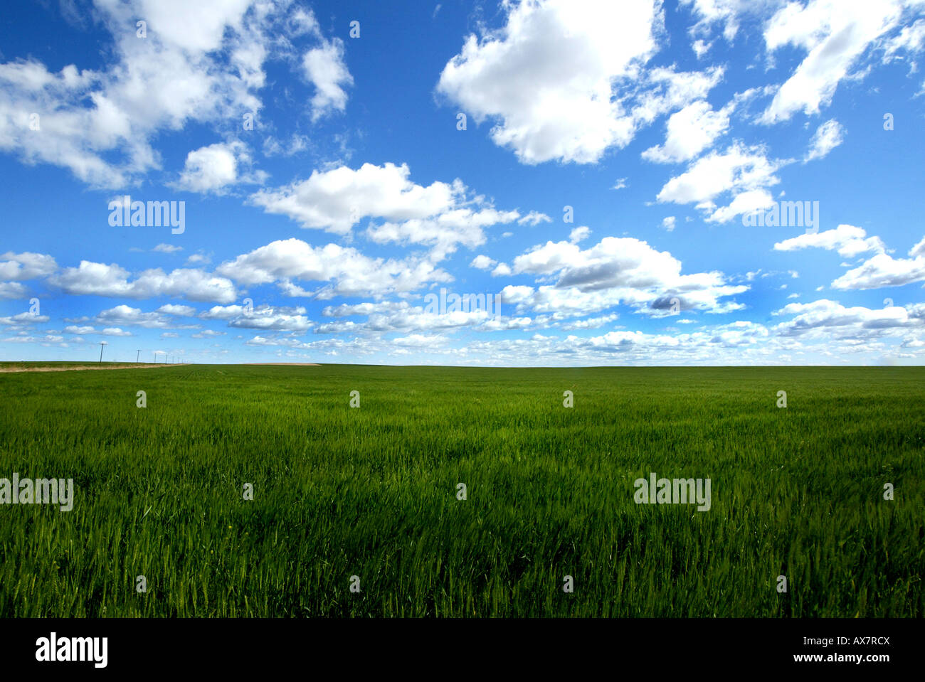 Wheat fields nebraska hi-res stock photography and images - Alamy