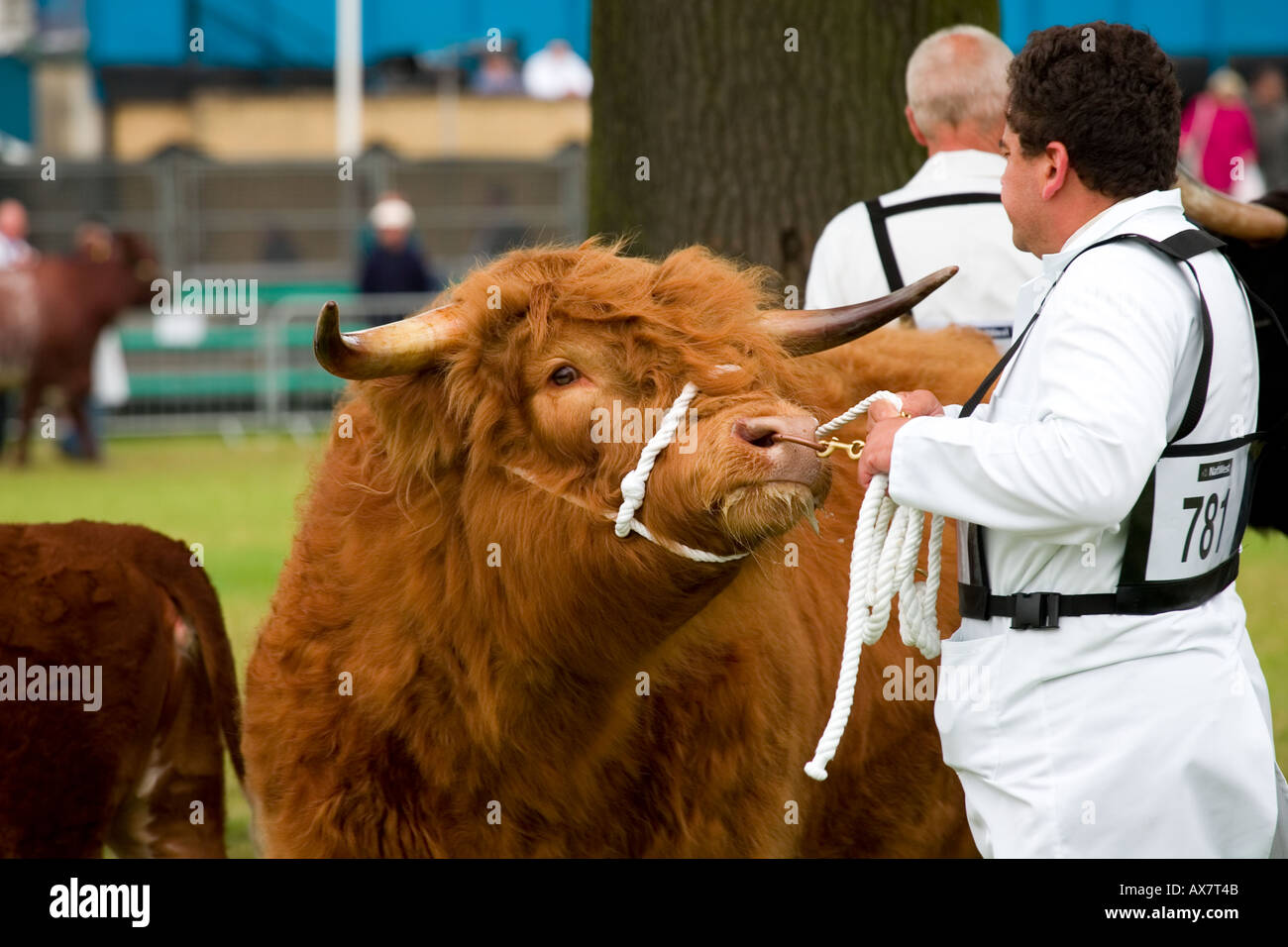 Royal show hi-res stock photography and images - Alamy