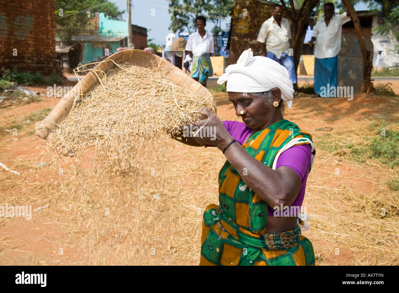 Woman sifting husks from rice, Tamil Nadu, India Stock Photo - Alamy