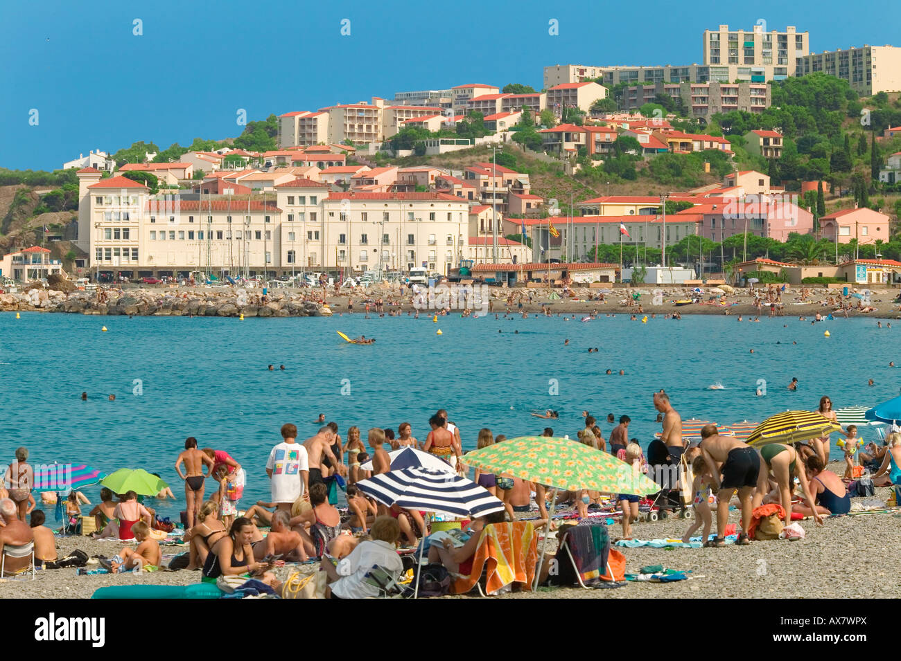 BANYULS - PYRENEES ORIENTALES - LANGUEDOC-ROUSSILLON - FRANCE Stock ...