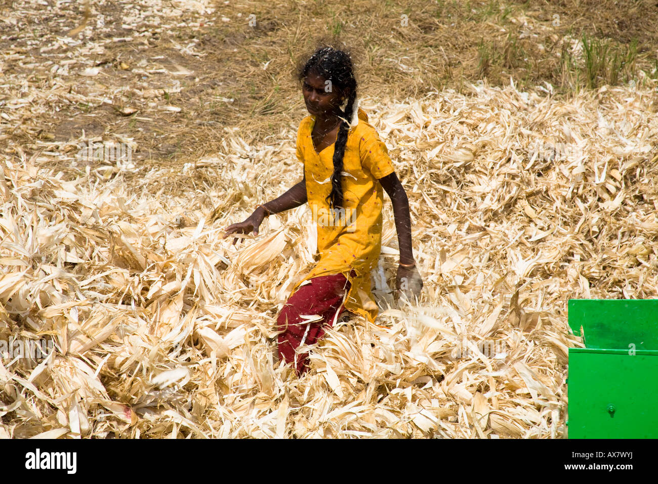 Agriculture labourer tamil nadu india hi-res stock photography and ...