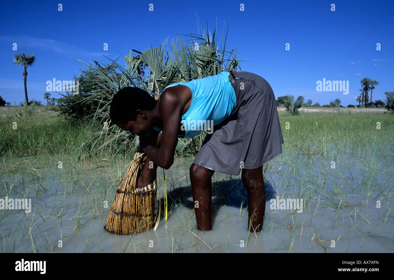 Owambo woman with traditional fish trap Oshana River near Oshikati in ...