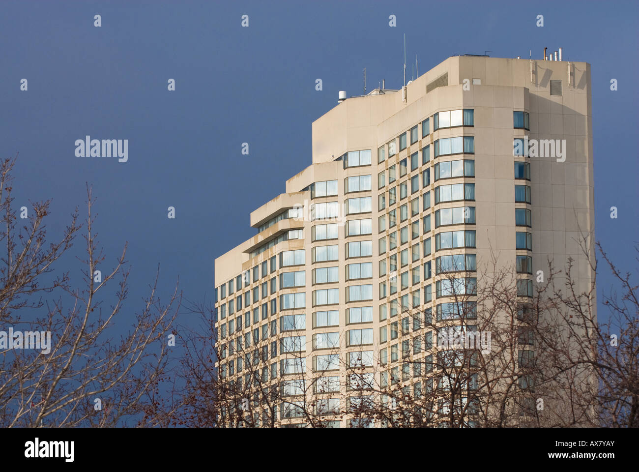 Tall trees hotel hi-res stock photography and images - Alamy