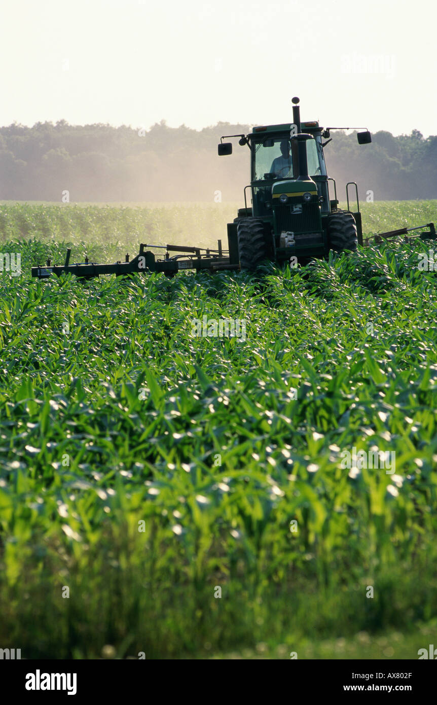 Cultivating Corn Field Stock Photo - Alamy