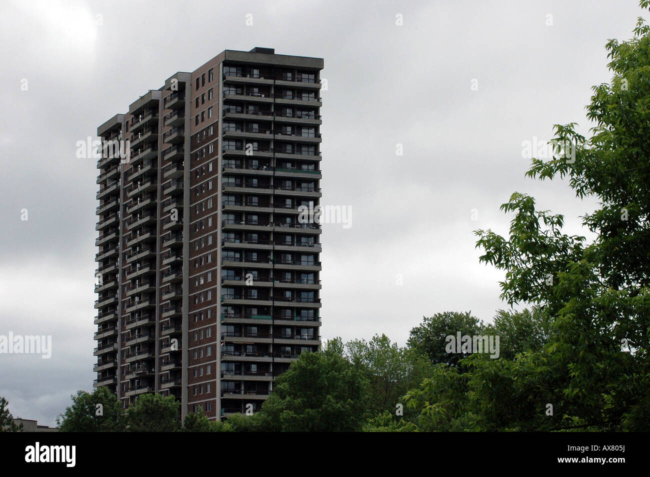An apartment building stands tall amongst a sea of trees Stock Photo ...