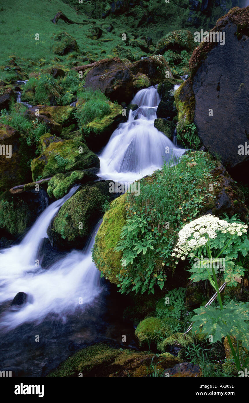 Watson Falls Oregon USA Stock Photo - Alamy