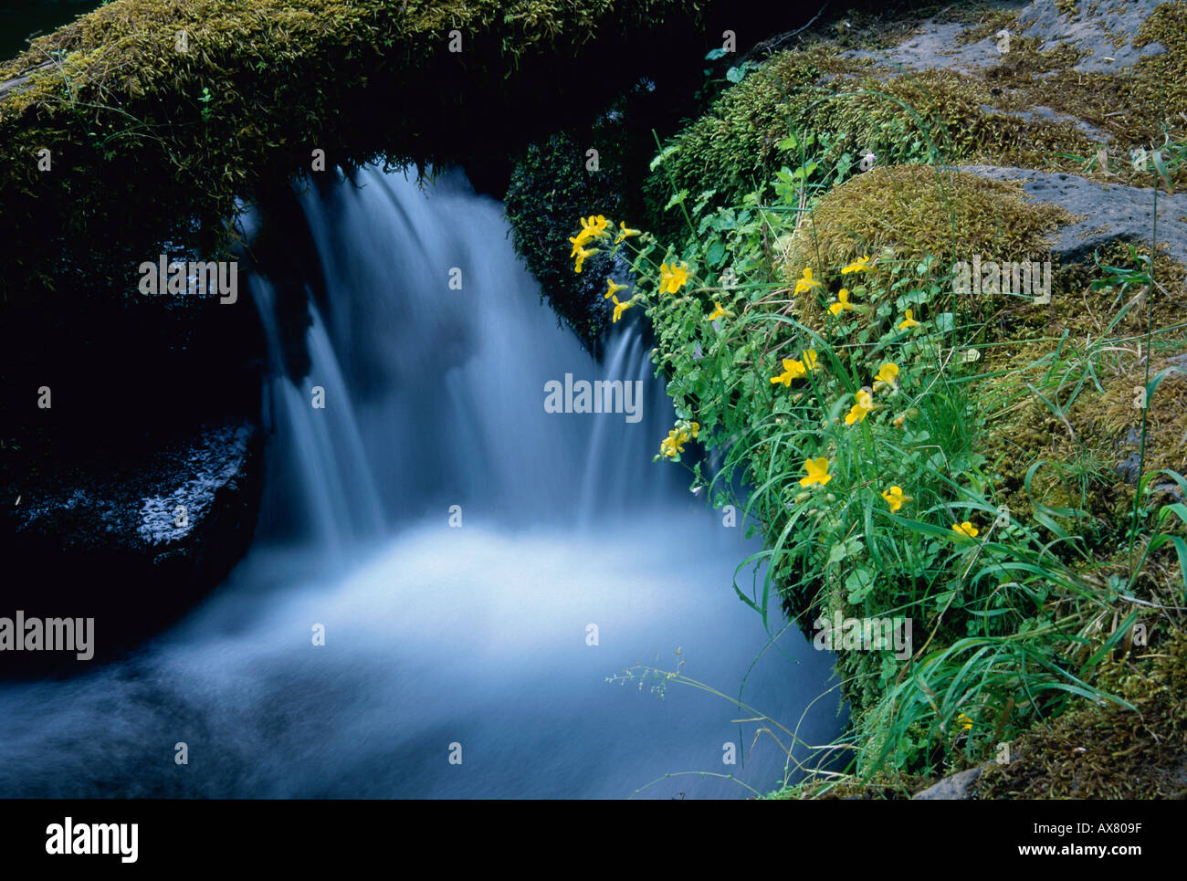Watson Falls Oregon USA Stock Photo - Alamy