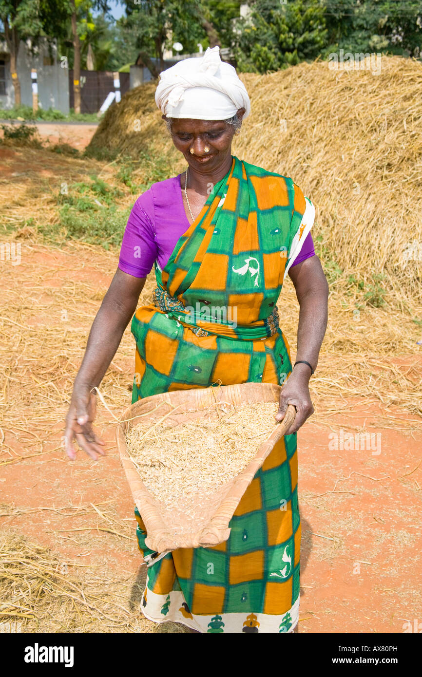 Woman sifting husks from rice, Tamil Nadu, India Stock Photo - Alamy