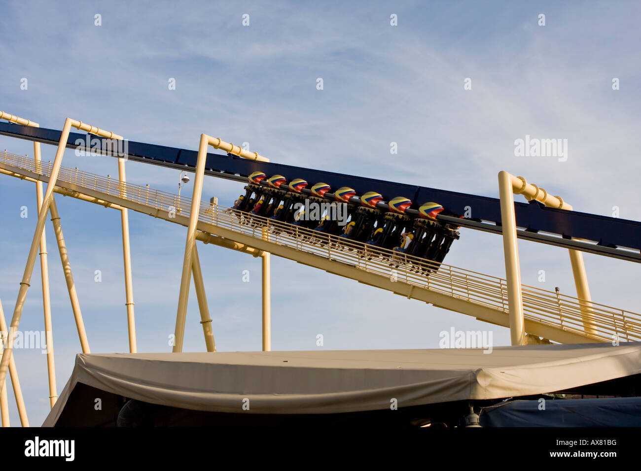 Montu Roller Coaster at Busch Gardens Florida Stock Photo - Alamy
